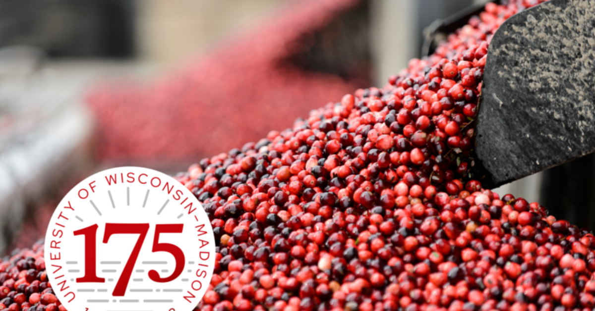“Cranberries: How WI Became the Best”: 175th Anniversary Taste of ...